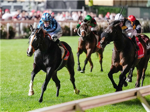 Latest Racing News | Horse Racing Tips | Betting Tips | Racing and Sports