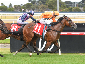 Latest Racing News | Horse Racing Tips | Betting Tips | Racing and Sports