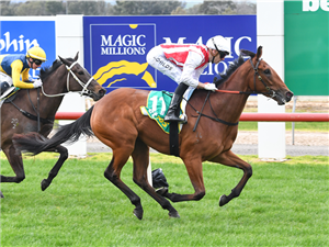 Latest Racing News | Horse Racing Tips | Betting Tips | Racing and Sports