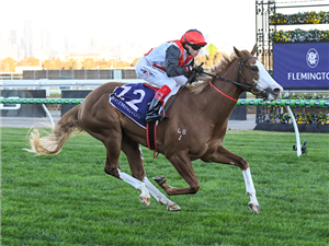 The Verdict With Michael Felgate, Mick Sharkie And Matt Welsh (June 23 ...