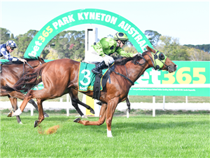 Hayes Targets Millions, Adelaide Autumn Racing Carnival | Racing and Sports
