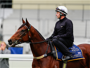 Charlie Duckworth Joliestar Interview At Ascot Trackwork | Racing and ...