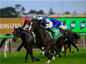 Joelene, Joelene: Second Subzero For Schweida Mare | Racing and Sports