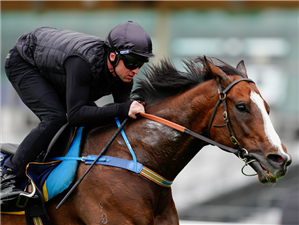 Bjorn Baker Overpass Interview At Ascot Trackwork | Racing and Sports