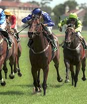 Jason Witham's Randwick Kensington Picks - Tuesday, 13 August