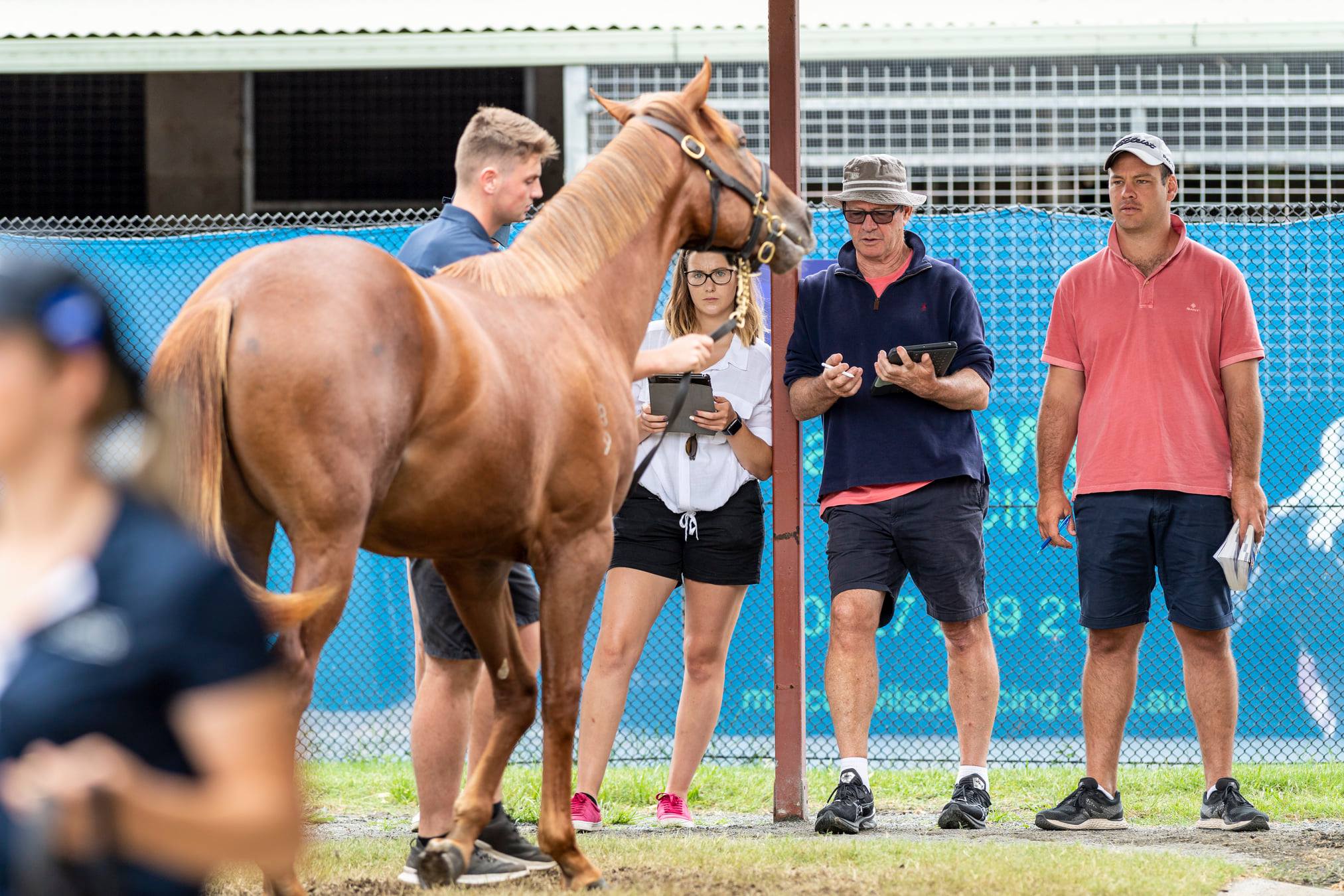 James Mitchell | Racing and Sports