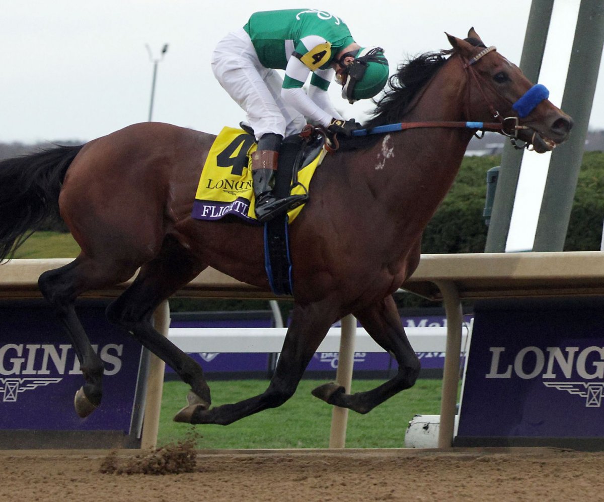 Weekend Review - Cup Week | Racing and Sports