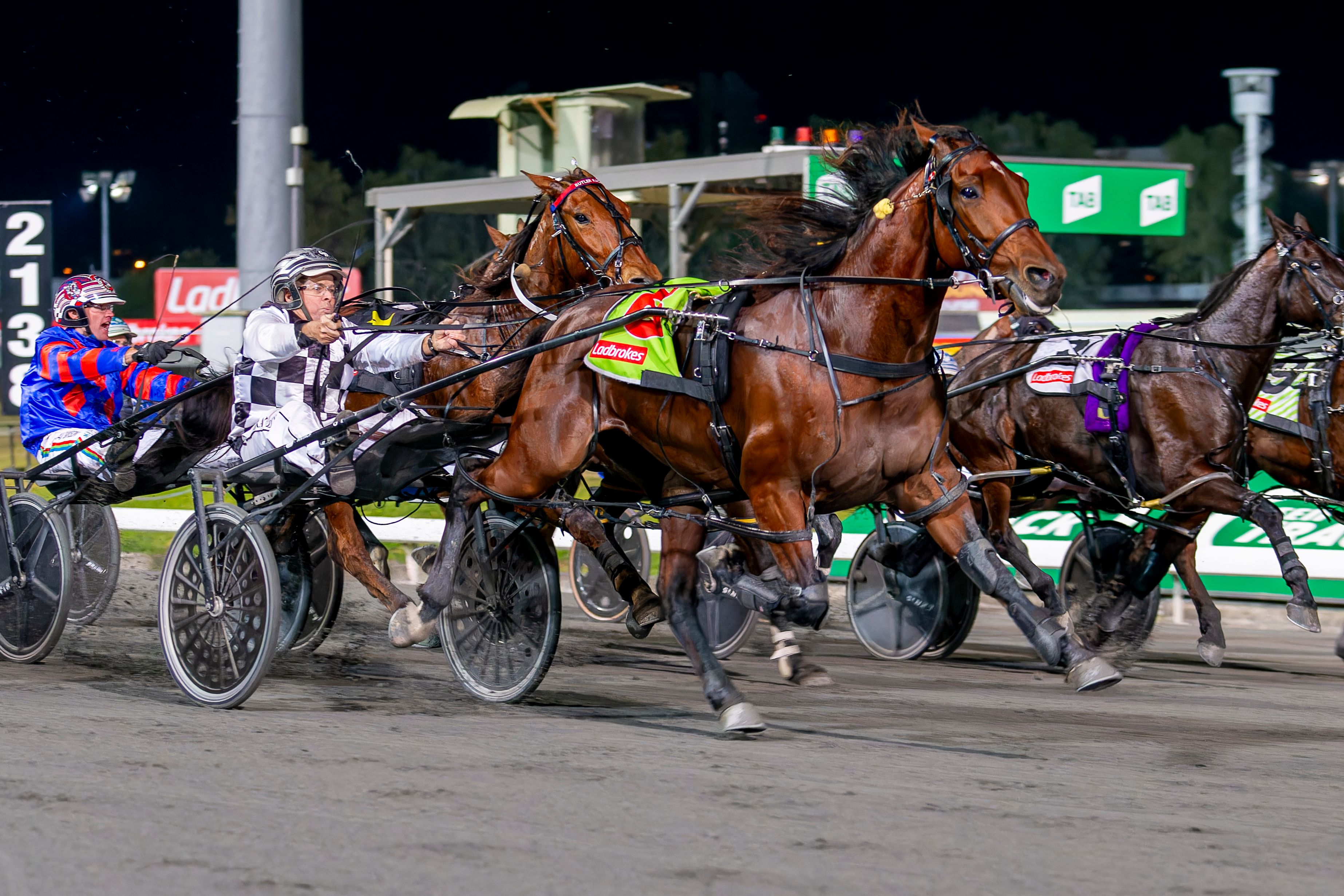 Leap To Fame Takes Next Step To The Crown Of Australia's Best | Racing ...