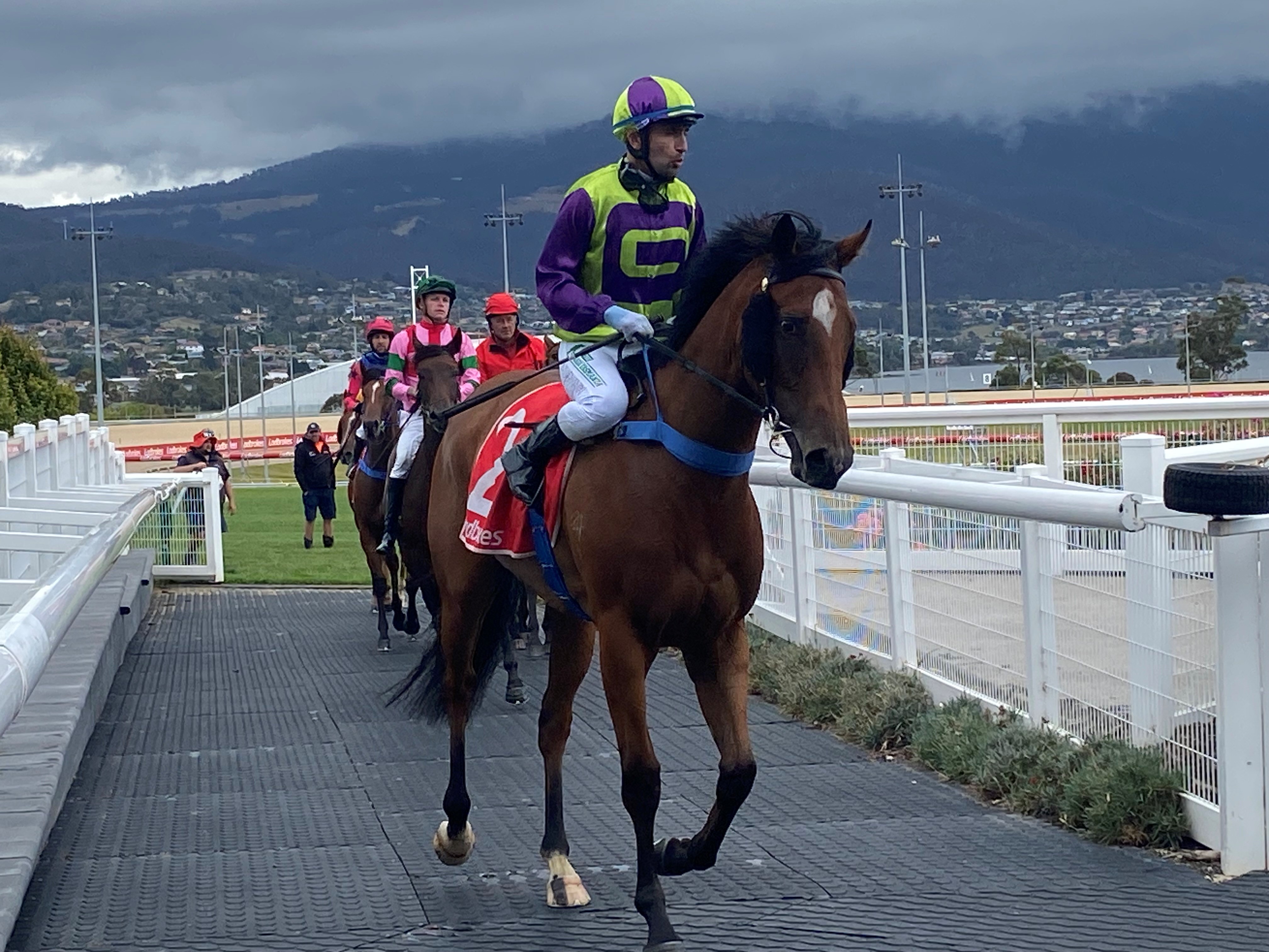 2024 Elwick Stakes Review - Geegees Mistruth Stars | Racing and Sports