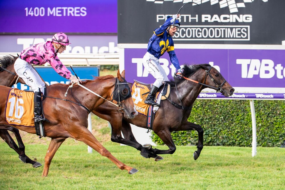 Racing Wa Launch The Pinnacles Equine All Star Incentive Scheme For 2024 | Racing and Sports