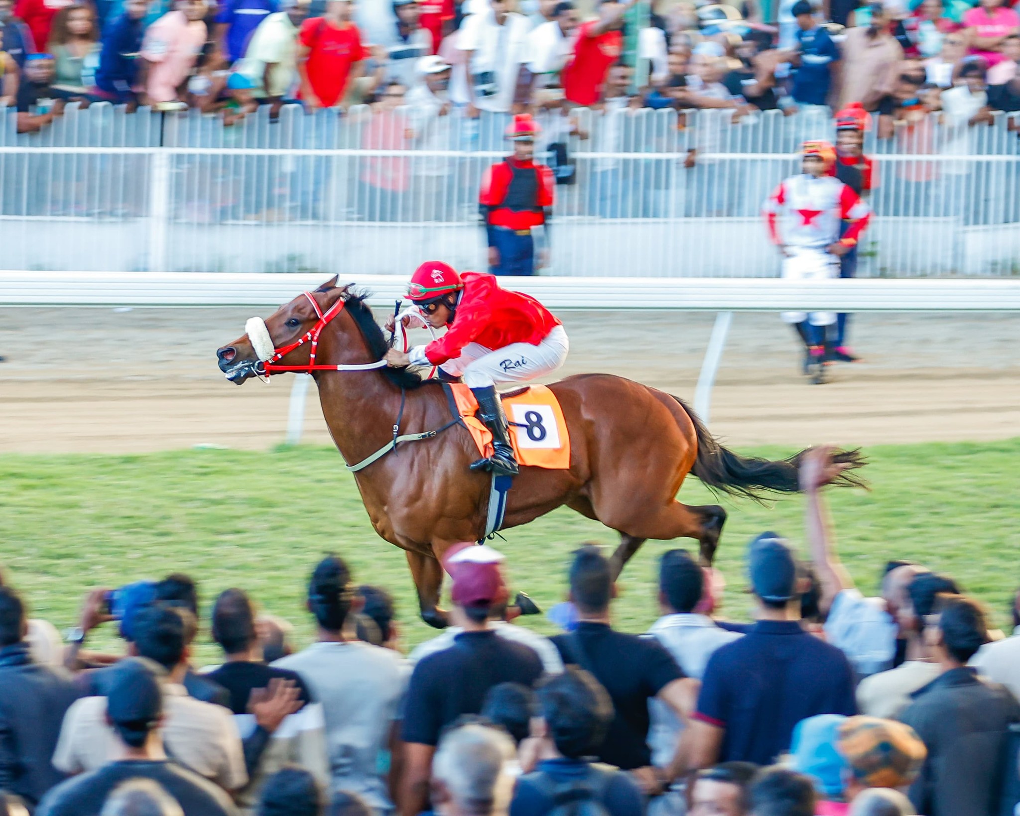 Horse Racing | Racing News | Betting | Mauritius Turf Club