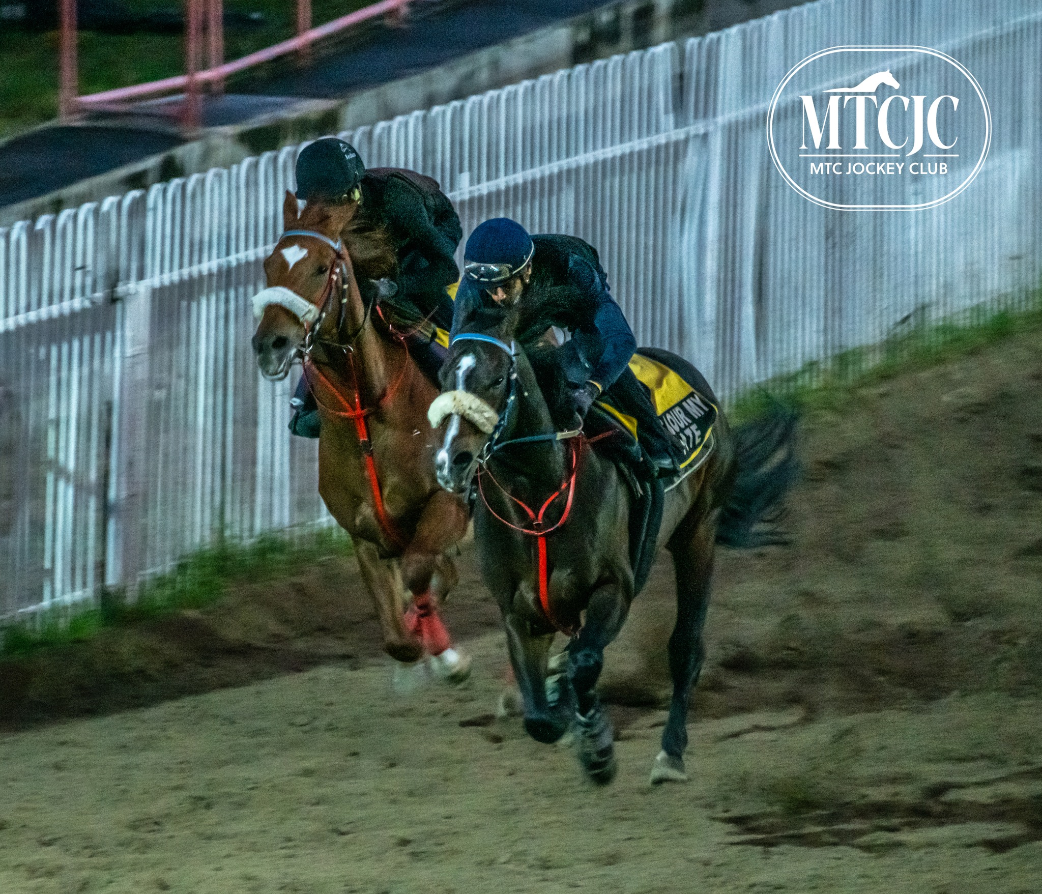 Horse Racing | Racing News | Betting | Mauritius Turf Club