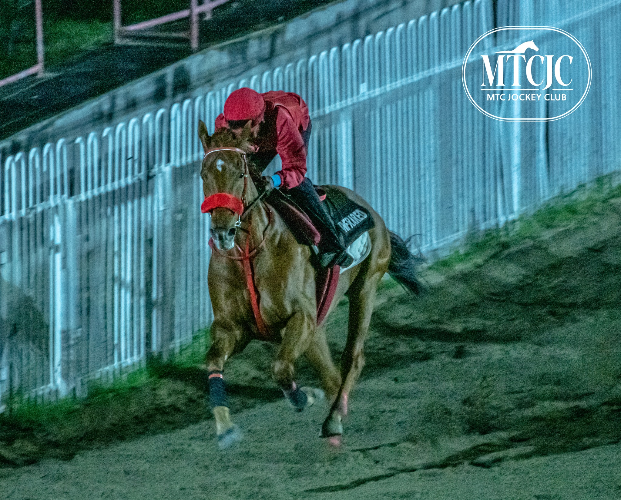 Horse Racing | Racing News | Betting | Mauritius Turf Club