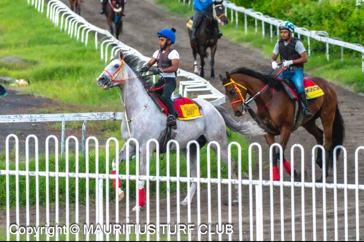 Horse Racing | Racing News | Betting | Mauritius Turf Club
