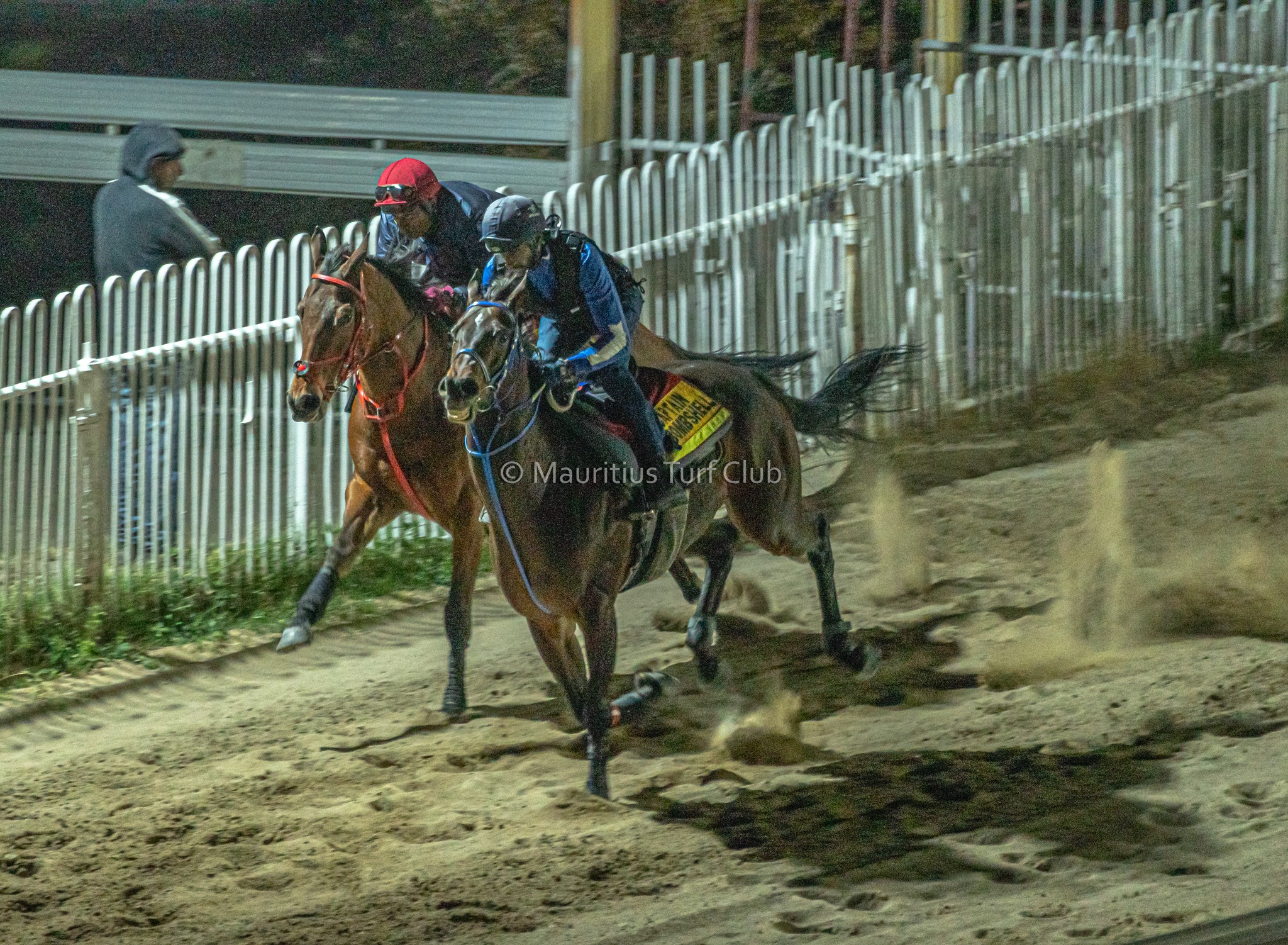 Horse Racing | Racing News | Betting | Mauritius Turf Club