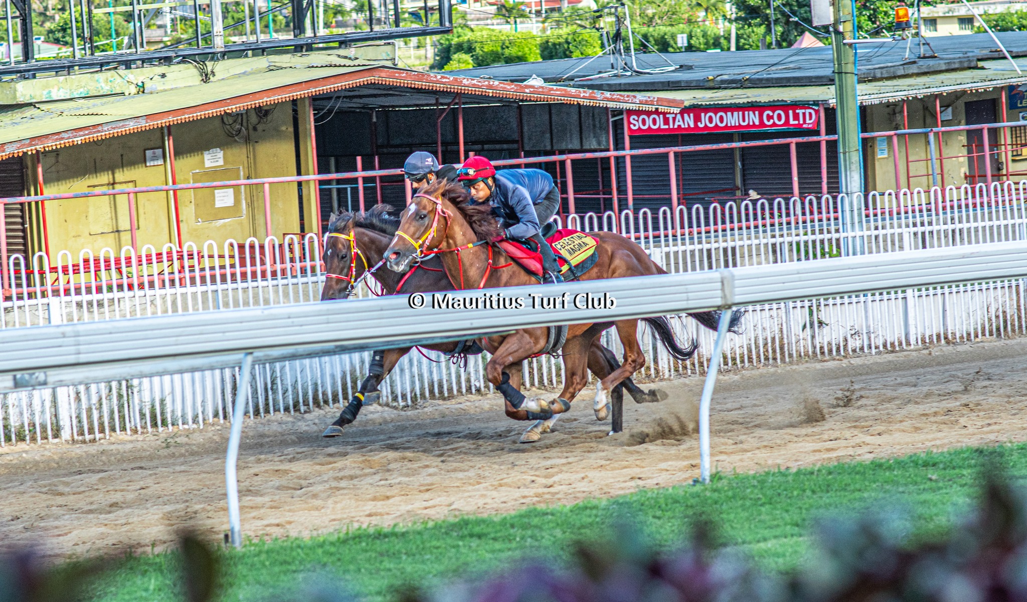 Broadway Alley Electrifies With Blistering 600M Gallop | Racing and Sports