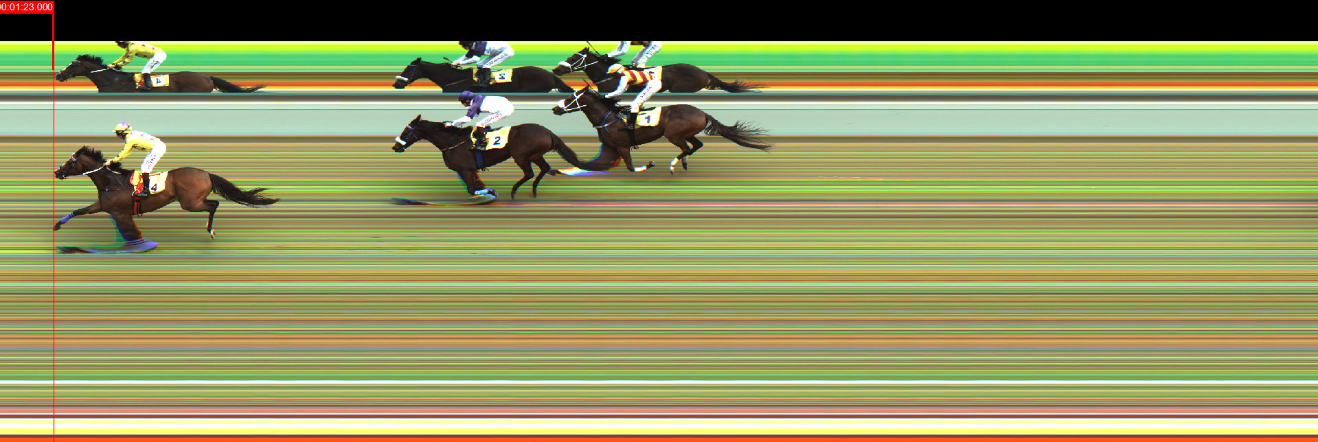 Horse Racing | Racing News | Betting | Mauritius Turf Club