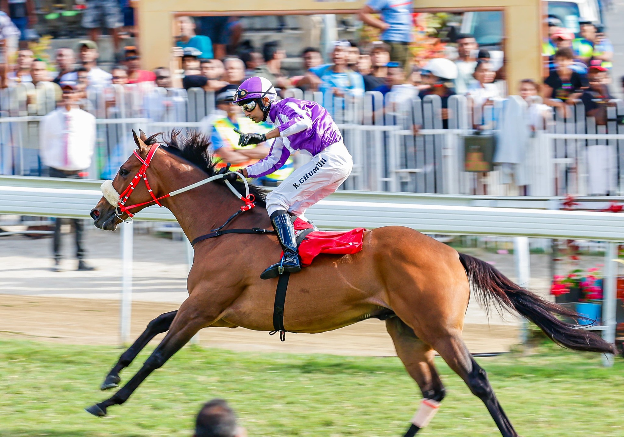 Horse Racing | Racing News | Betting | Mauritius Turf Club