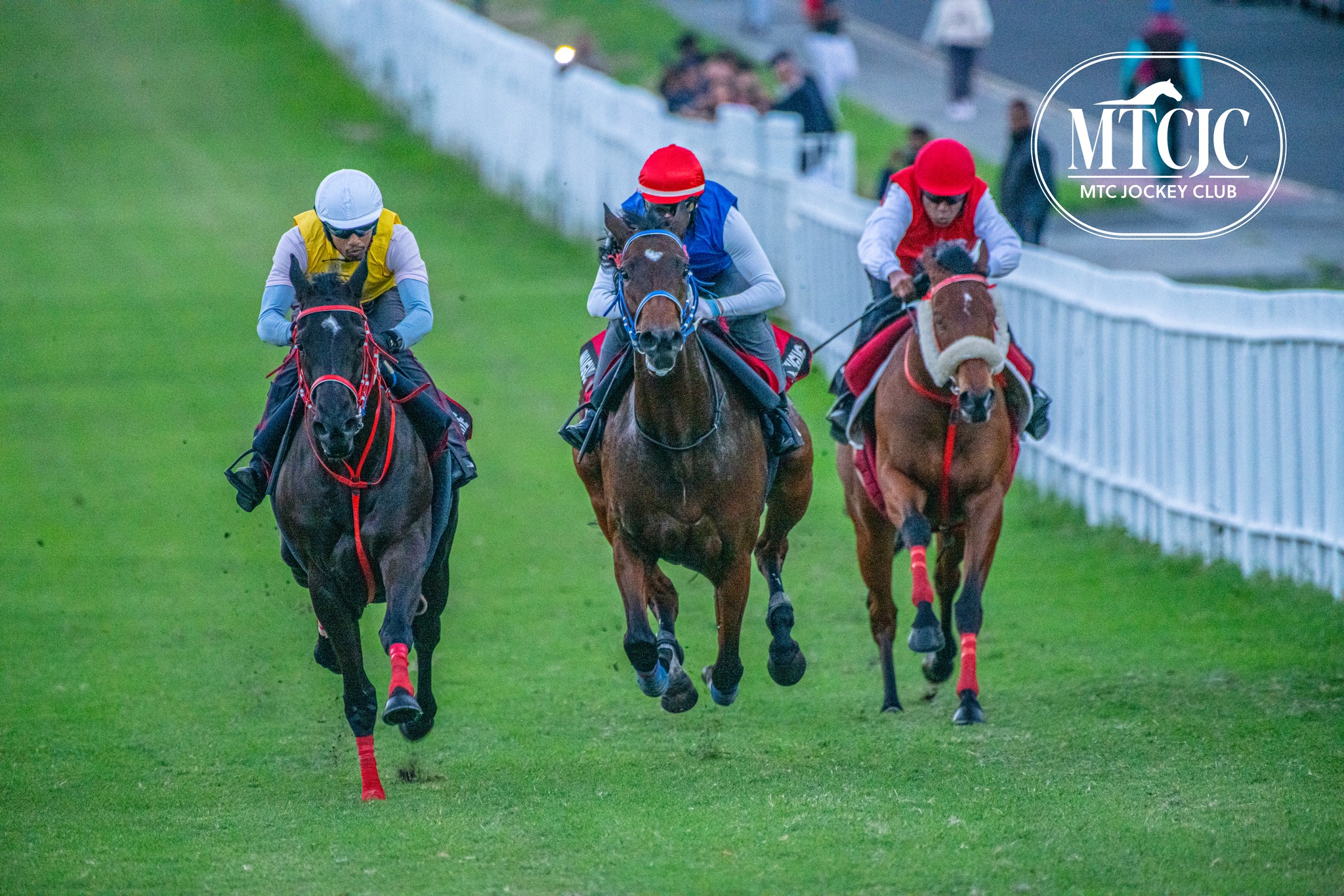 Horse Racing | Racing News | Betting | Mauritius Turf Club