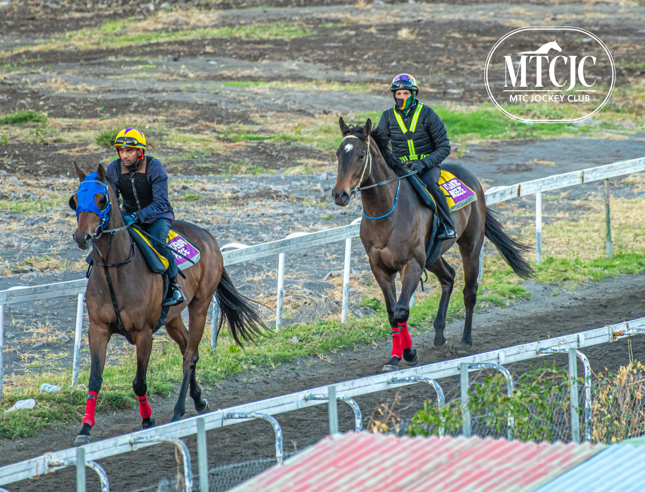 Horse Racing | Racing News | Betting | Mauritius Turf Club