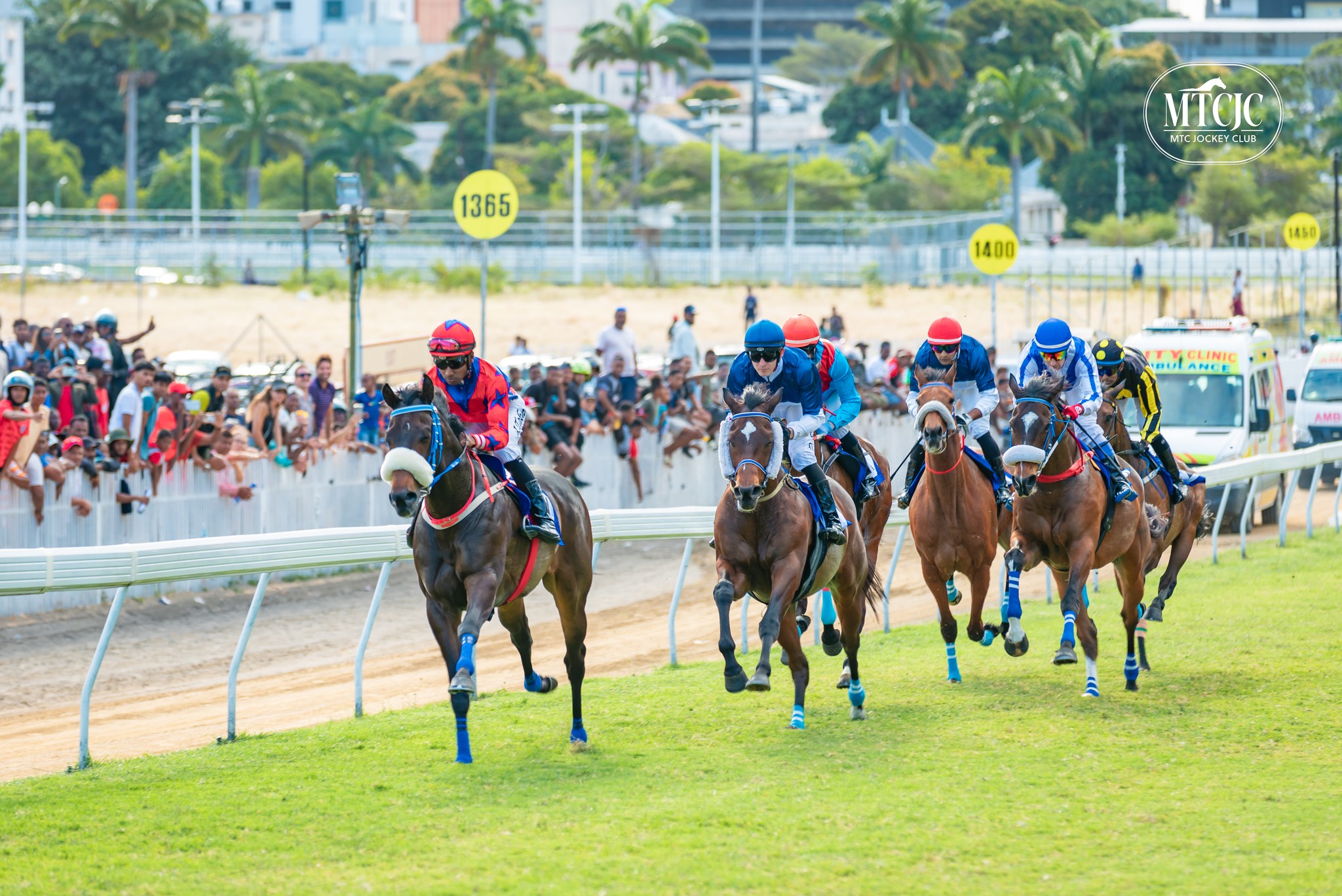 Horse Racing | Racing News | Betting | Mauritius Turf Club