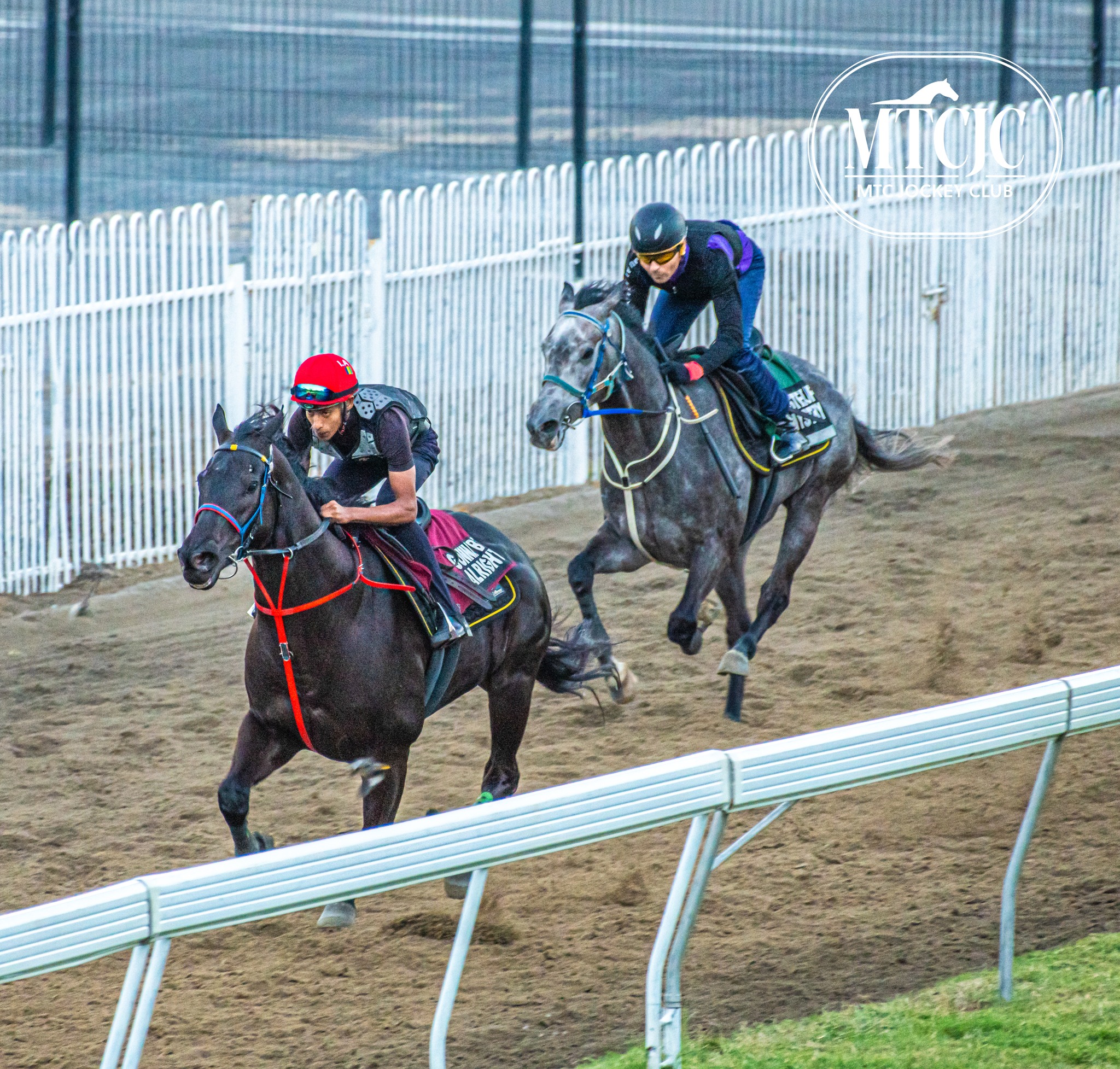 Horse Racing | Racing News | Betting | Mauritius Turf Club