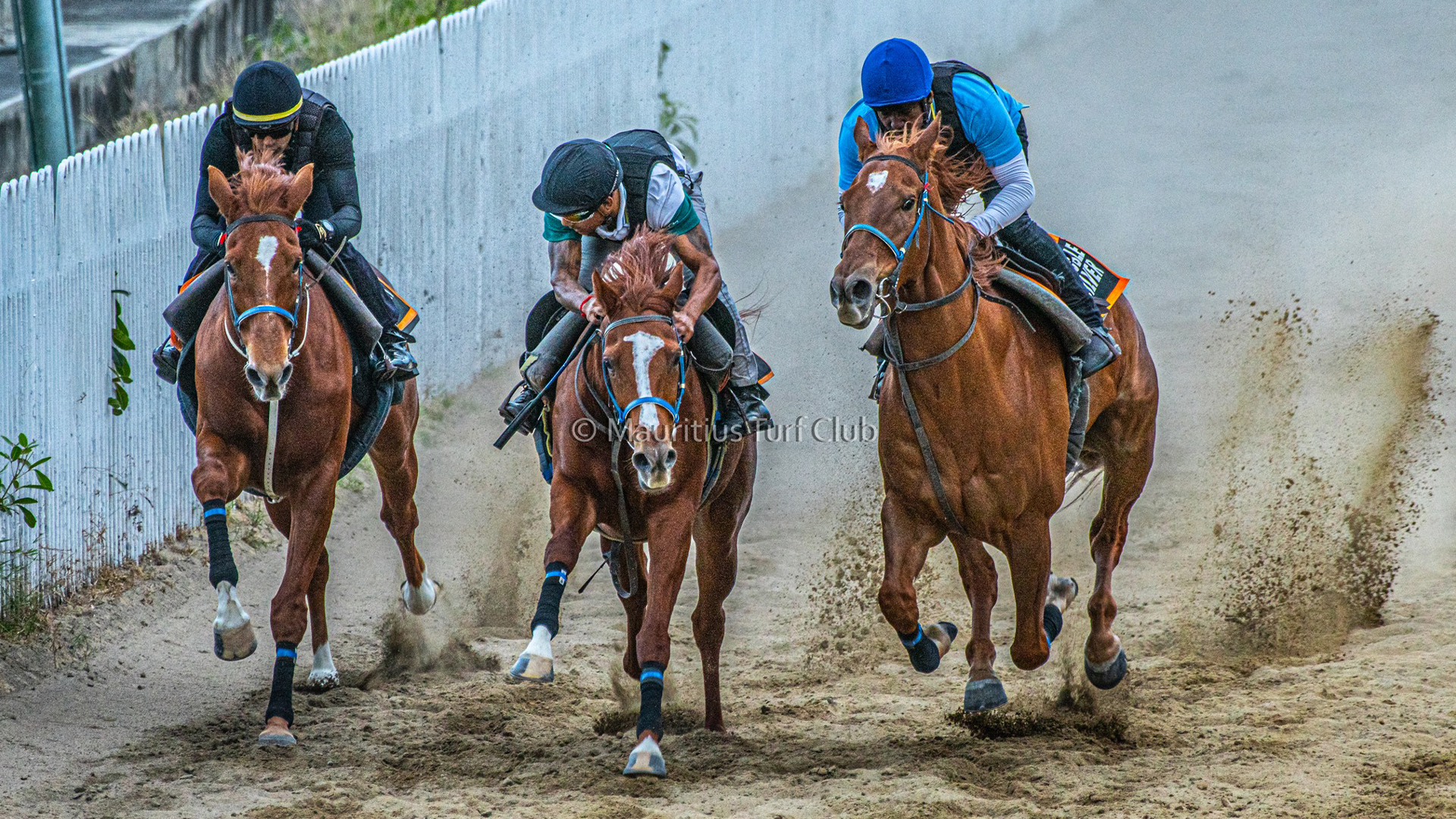 Horse Racing | Racing News | Betting | Mauritius Turf Club
