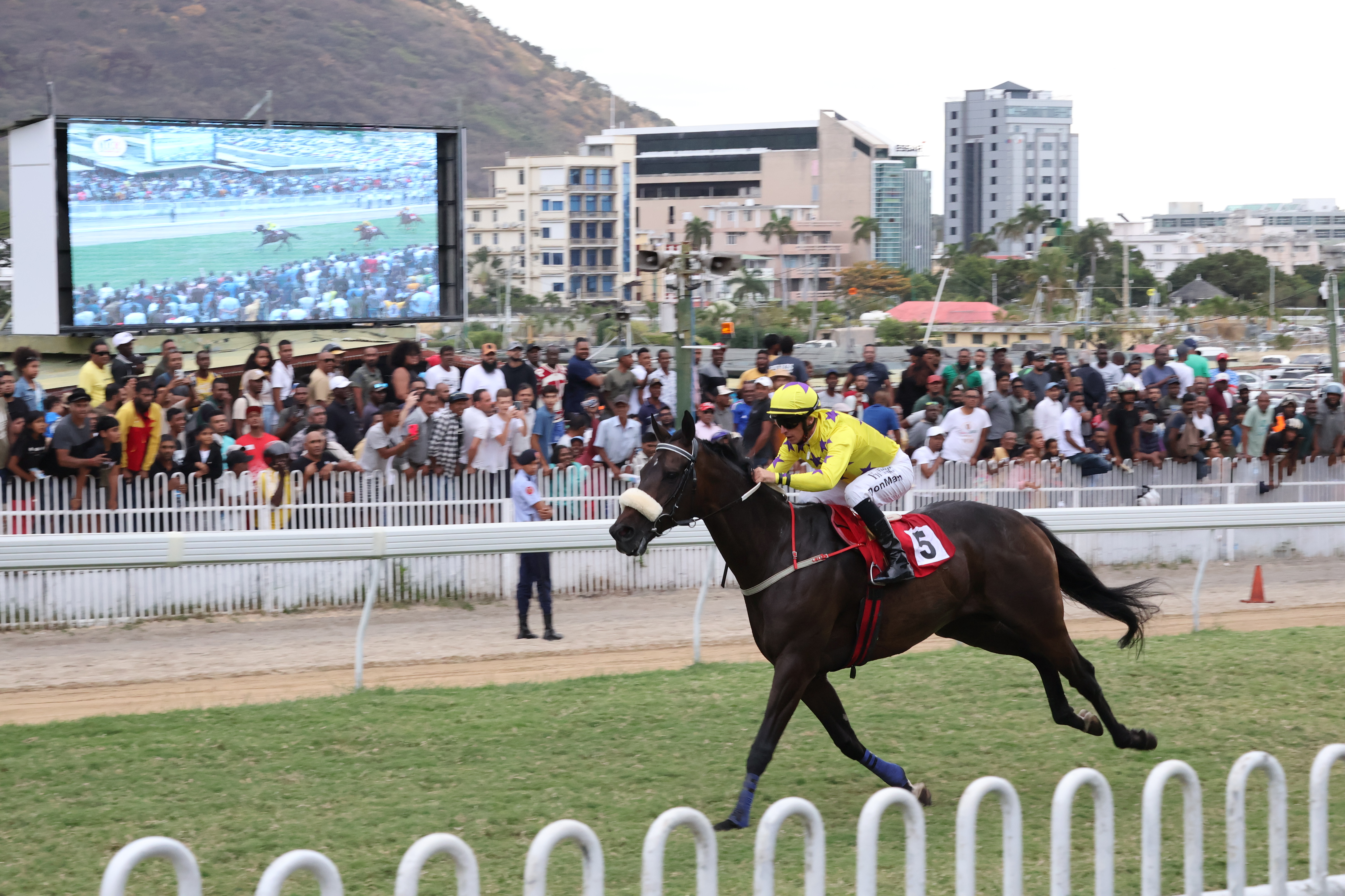 Horse Racing | Racing News | Betting | Mauritius Turf Club