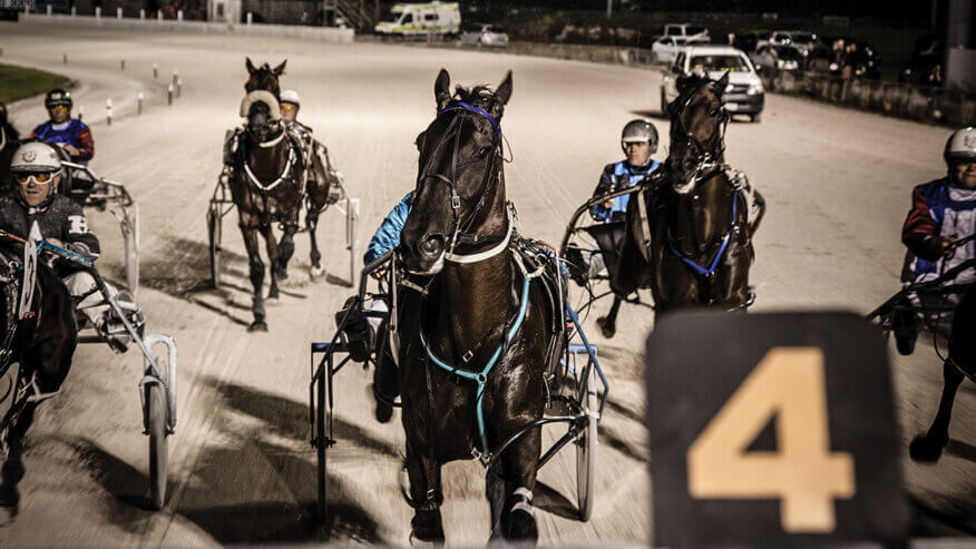 Mt Harding Picks - Saturday, 8 February | Sky Racing World | Sky Racing ...