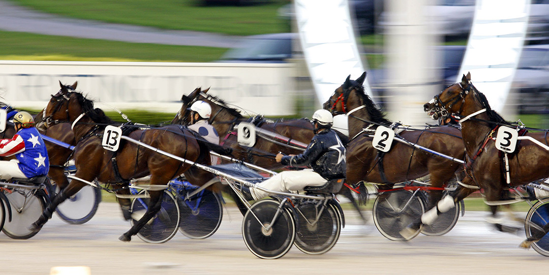 Motukarara Harness Picks - Saturday, 15 February | Sky Racing World ...