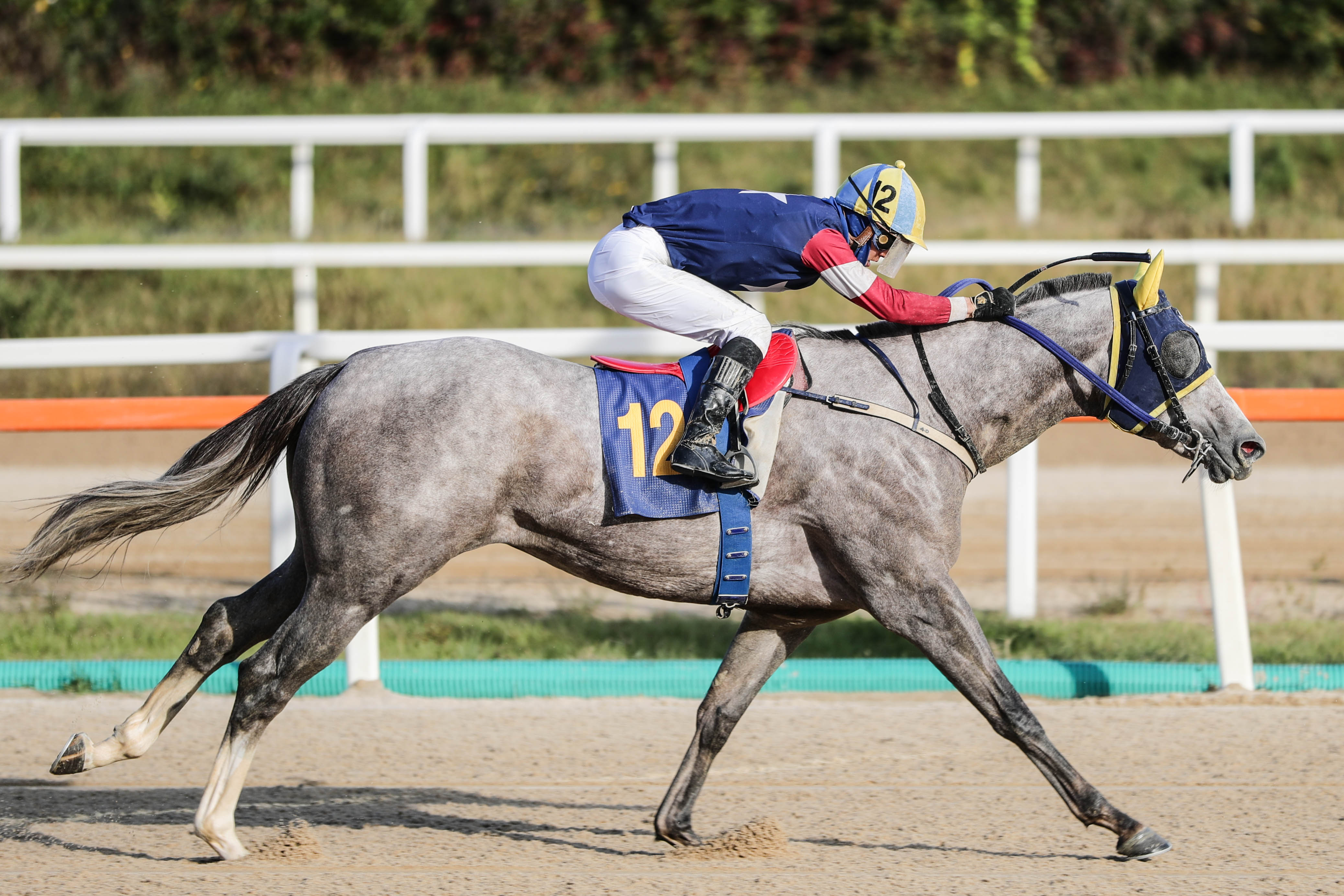 Seoul And Busan Stage Classic Trials Sunday | Sky Racing World | Sky ...