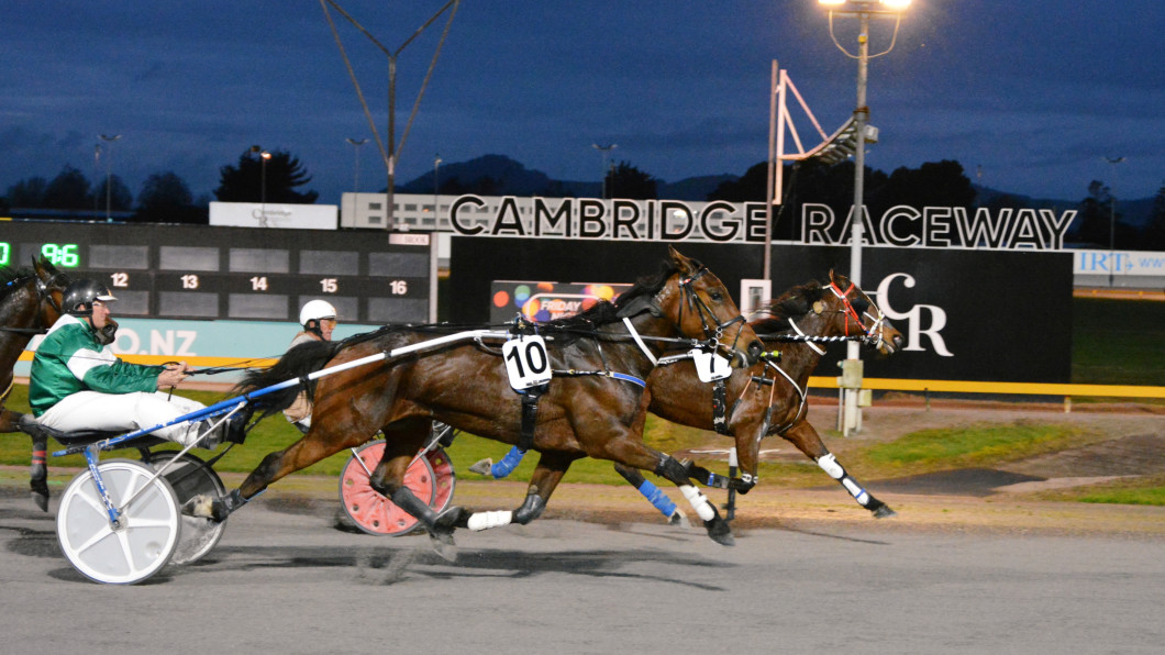 Cambridge Harness Picks - Thursday, 2 January | Racing and Sports
