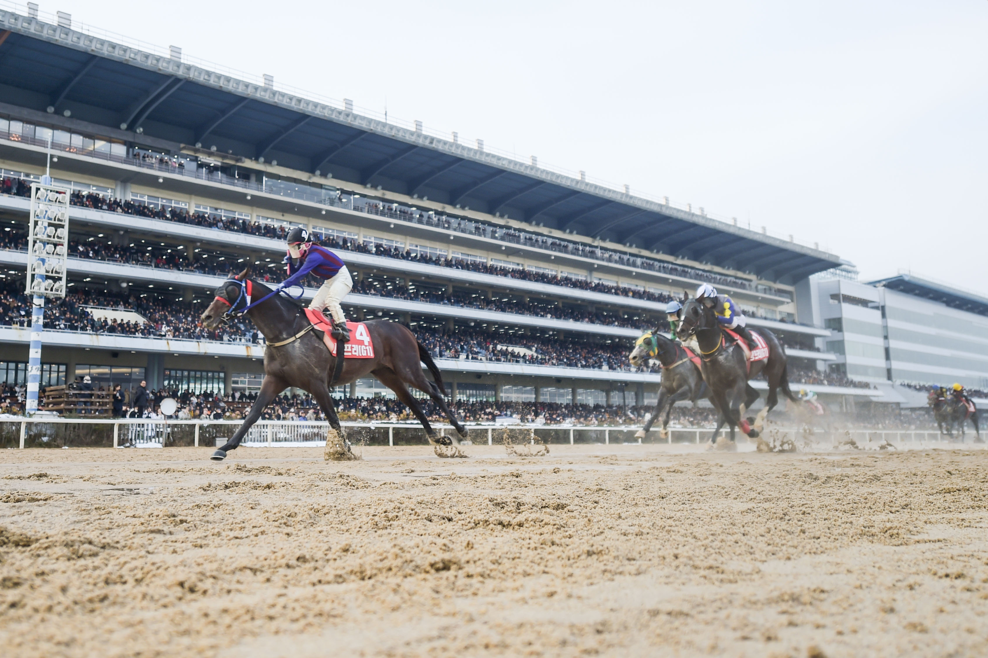 Global Hit To Make Meydan Debut In Al Maktoum Challenge Friday | Sky ...