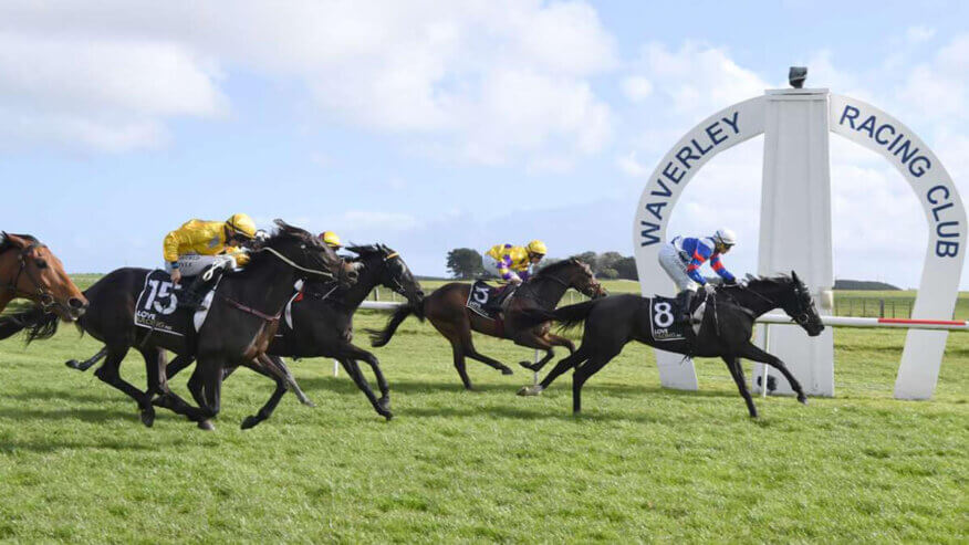 Waverley Picks - Tuesday, 28 January | Sky Racing World | Sky Racing World