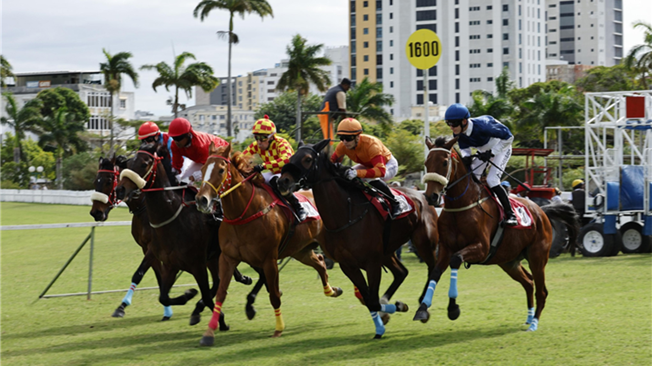 Horse Racing | Racing News | Betting | Mauritius Turf Club