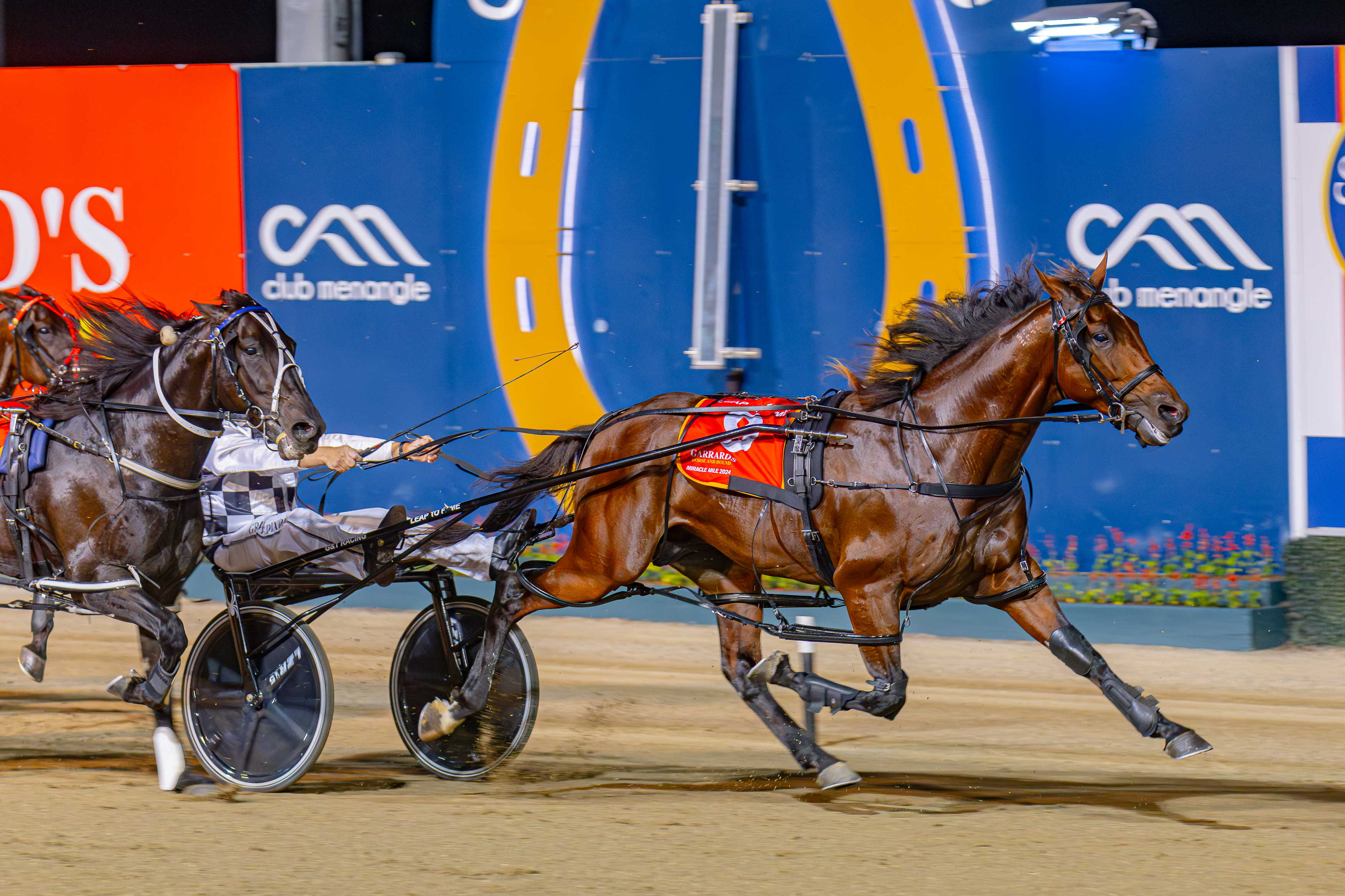 Star-Studded Field Promises A Miracle Mile Classic | Sky Racing World ...
