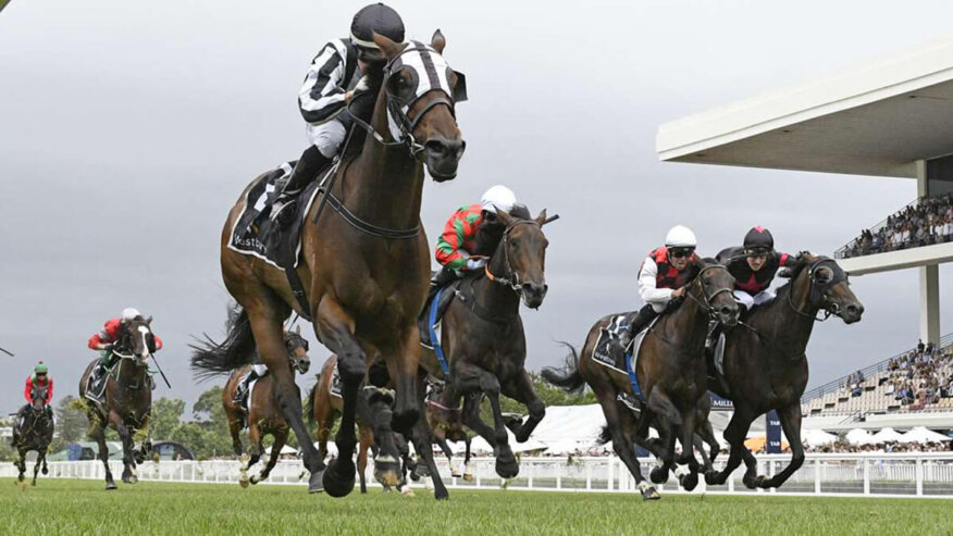 Ellerslie Picks - Friday, 7 March | Sky Racing World | Sky Racing World