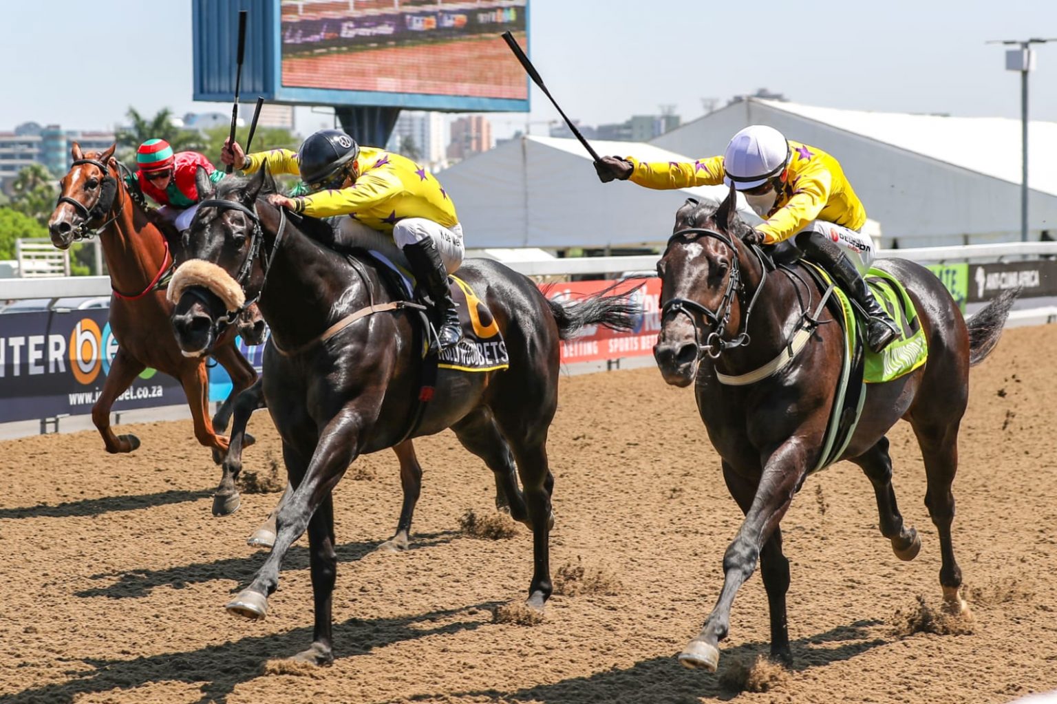 Greyville Picks - Wednesday, 7 May | Sky Racing World | Sky Racing World