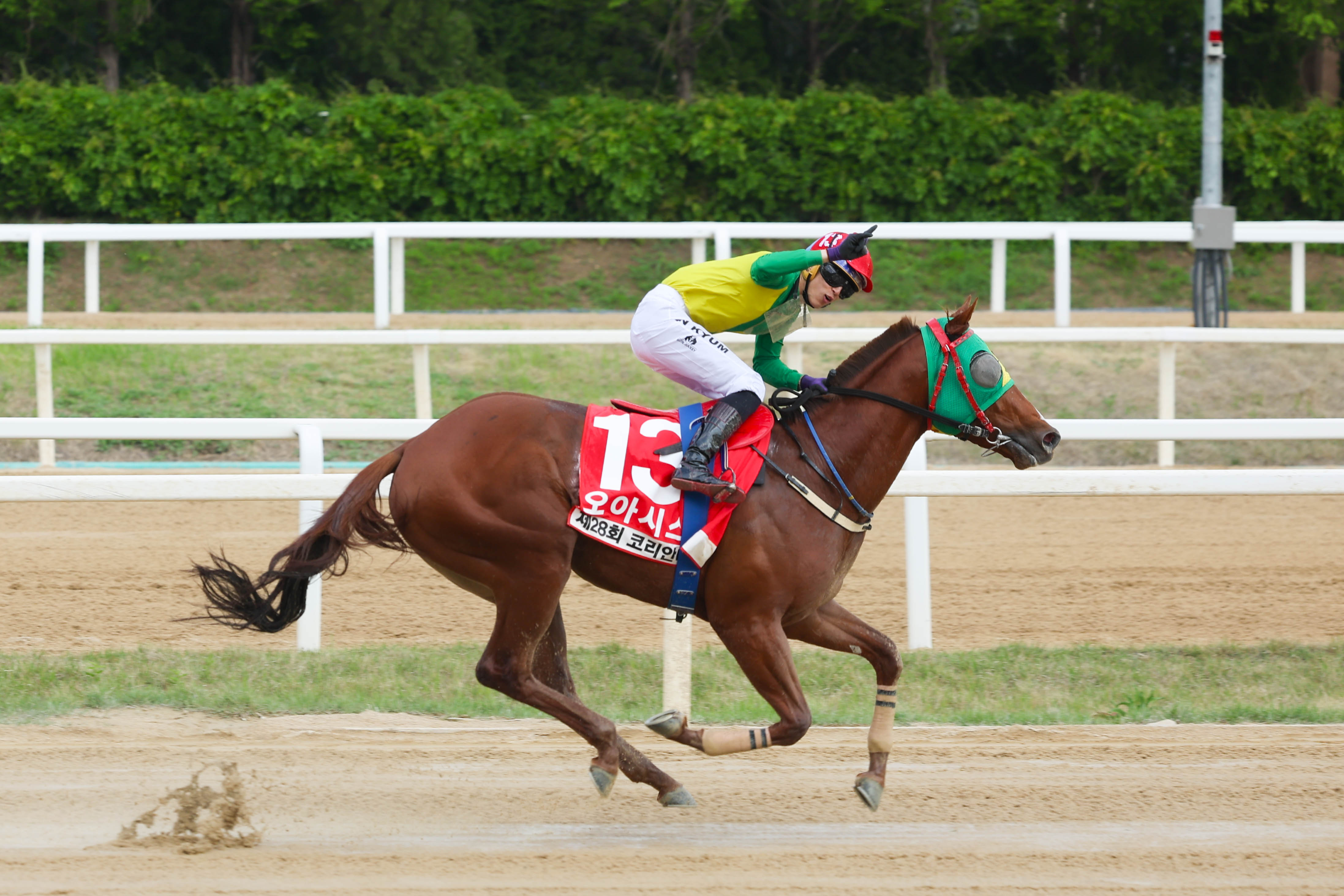 Oasis Blue One Race From Triple Crown After Korean Derby Triumph | Sky ...
