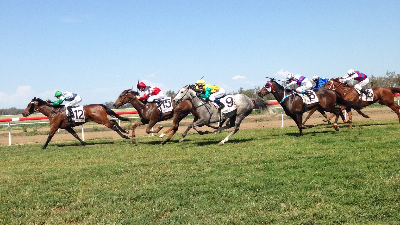 Jason Witham's Gunnedah Picks - Saturday, 24 May | Racing and Sports