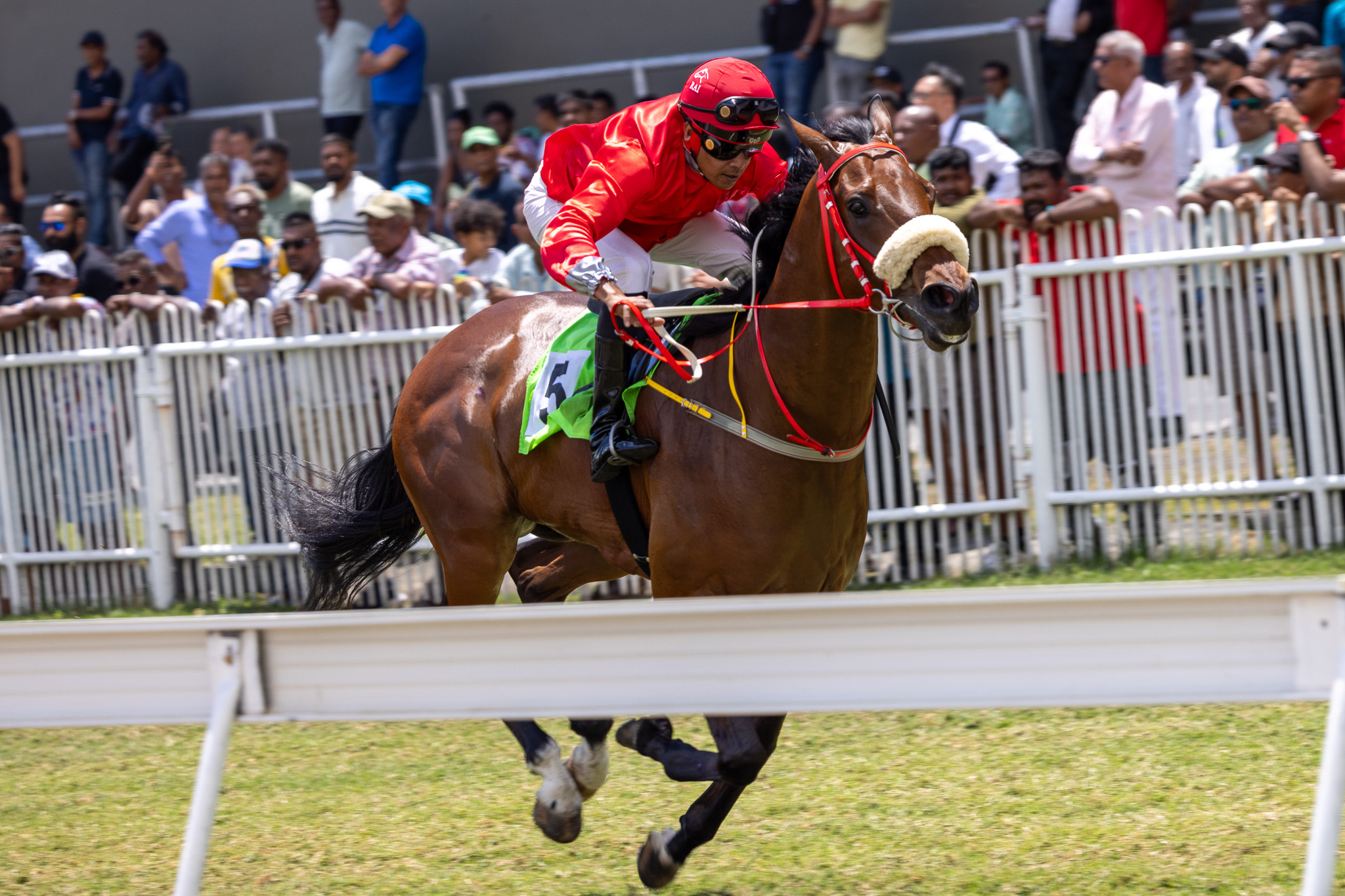 Horse Racing | Racing News | Betting | Mauritius Turf Club