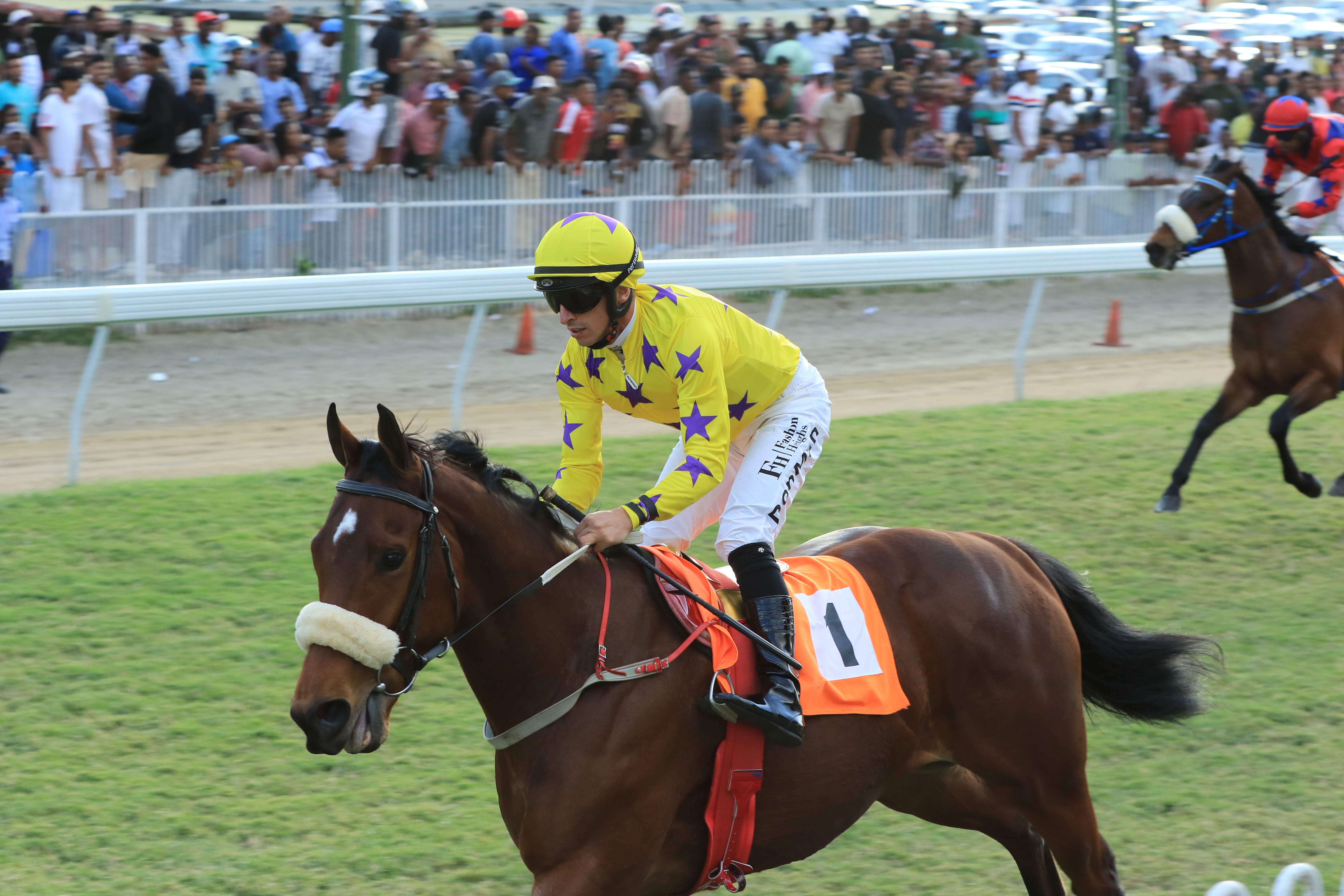 Horse Racing | Racing News | Betting | Mauritius Turf Club