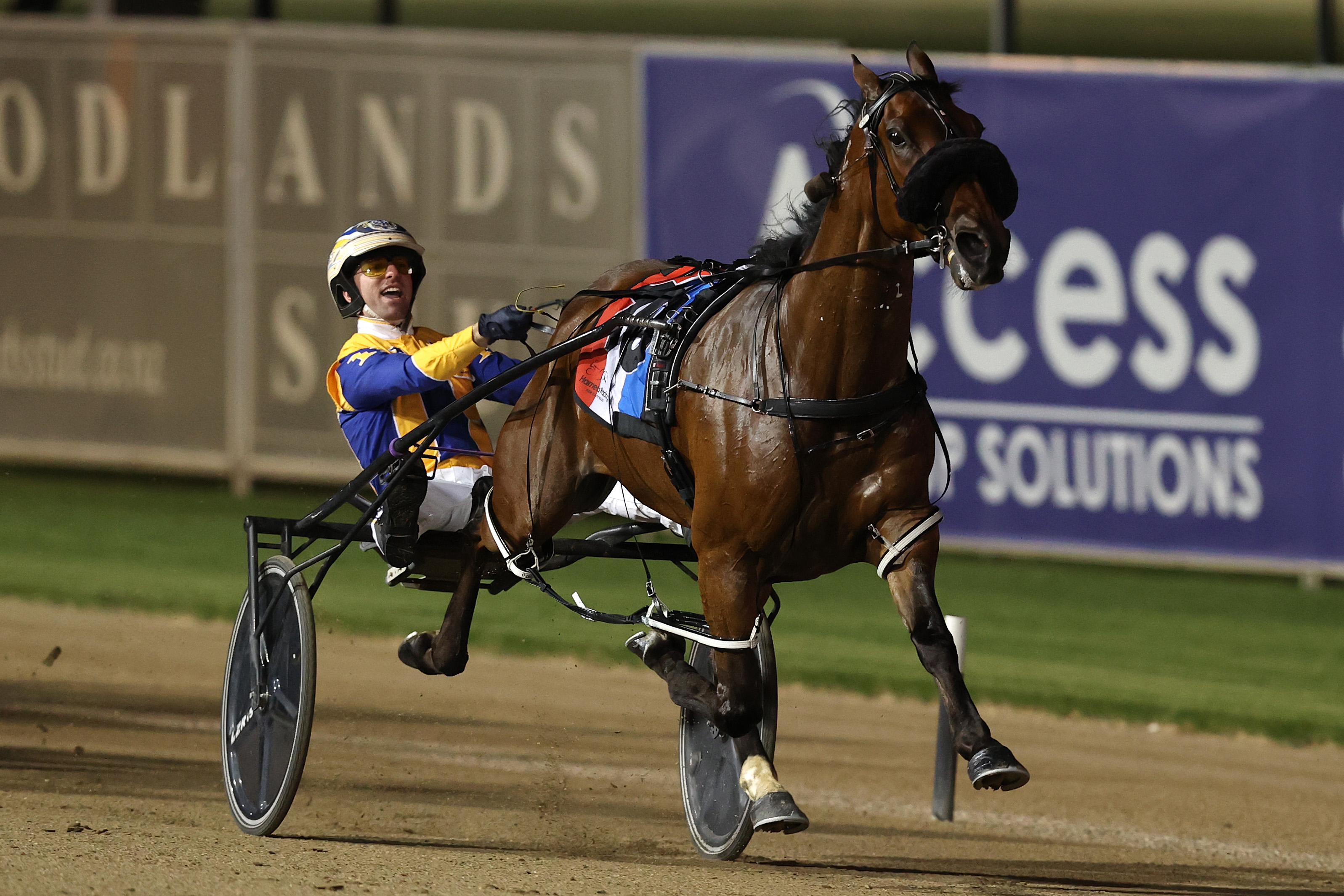 Australian Harness Racing Preview - Saturday, 29th November 2025 ...