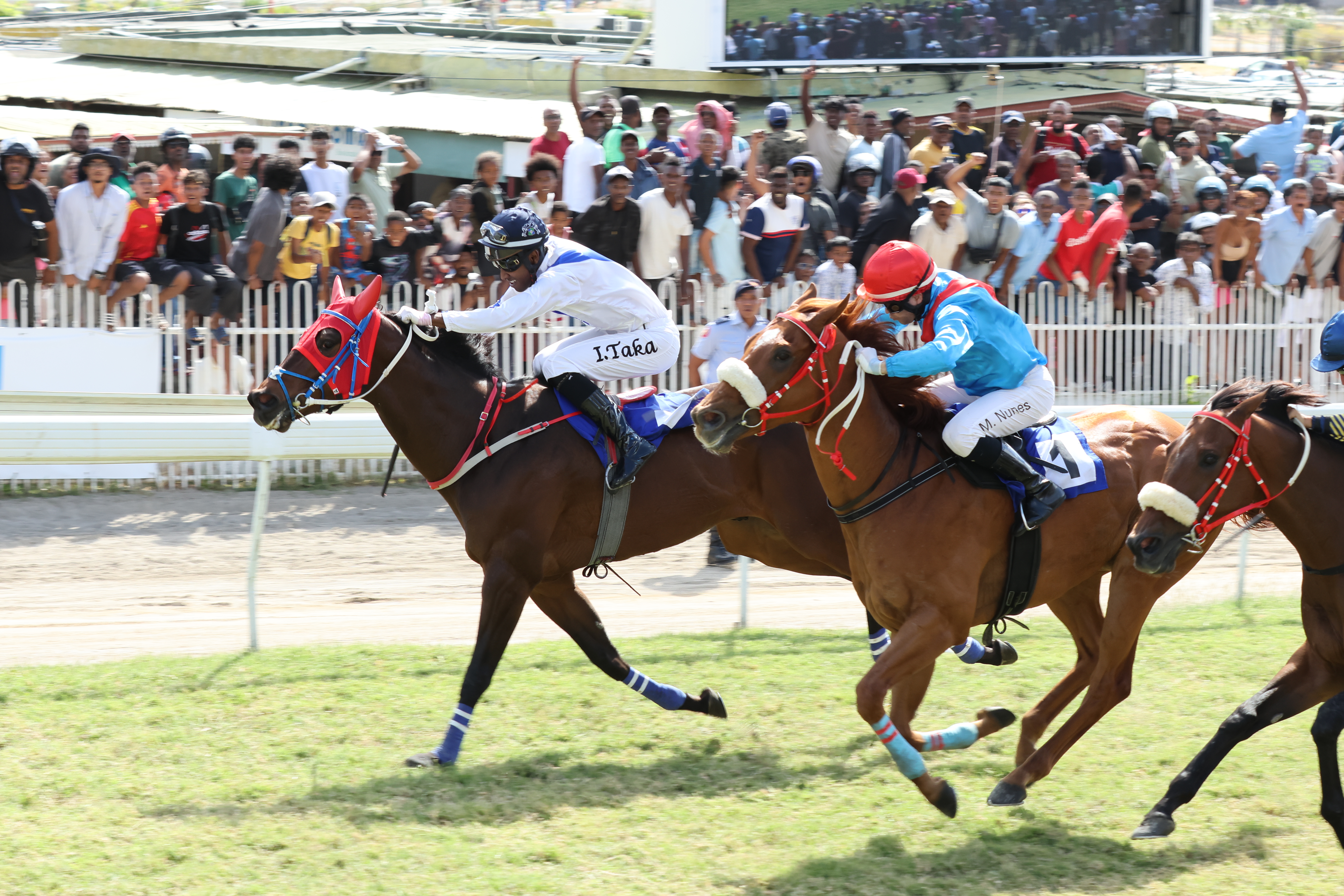 Horse Racing | Racing News | Betting | Mauritius Turf Club