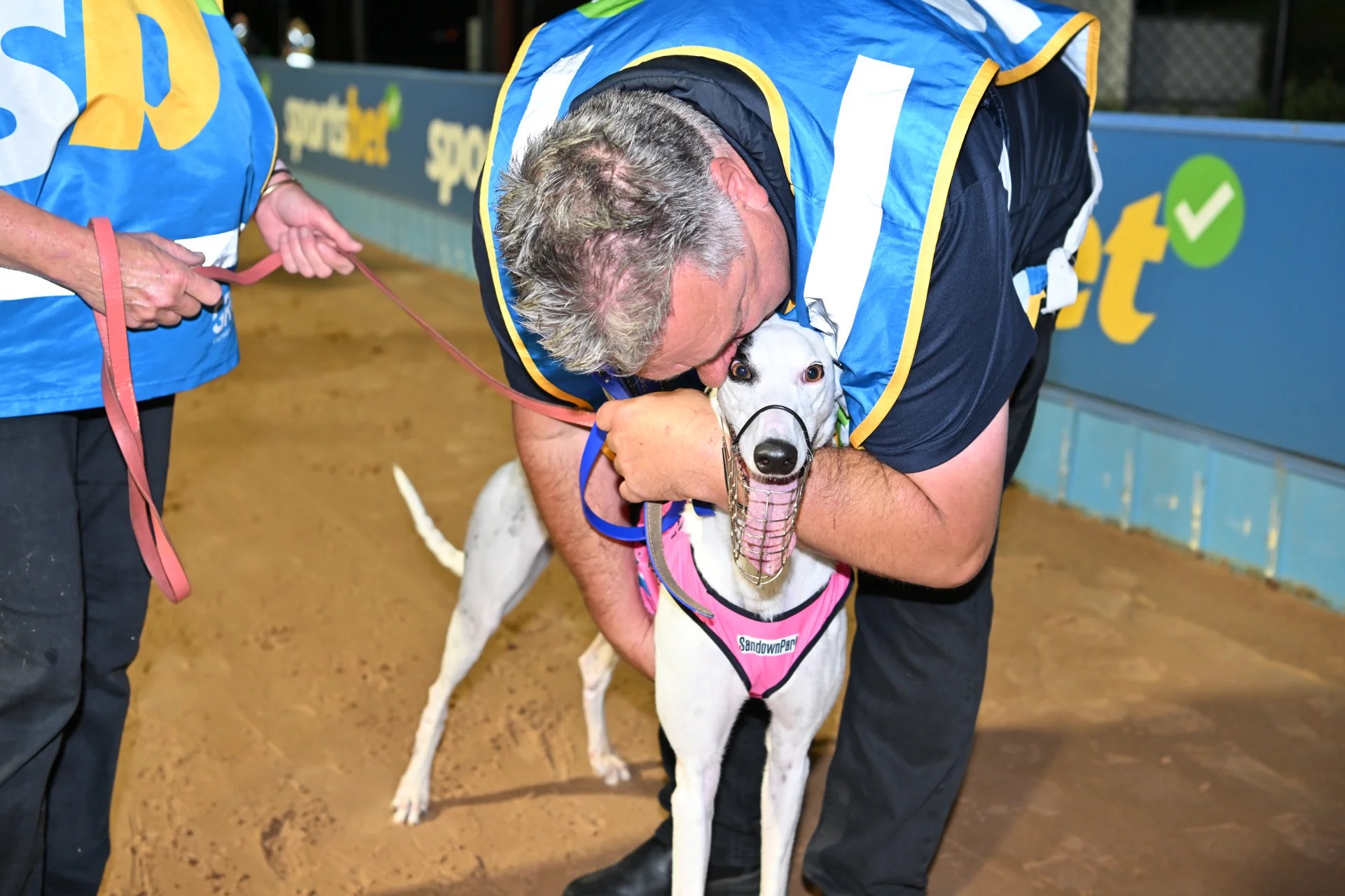 Without A Trace Goes Bold | Racing and Sports