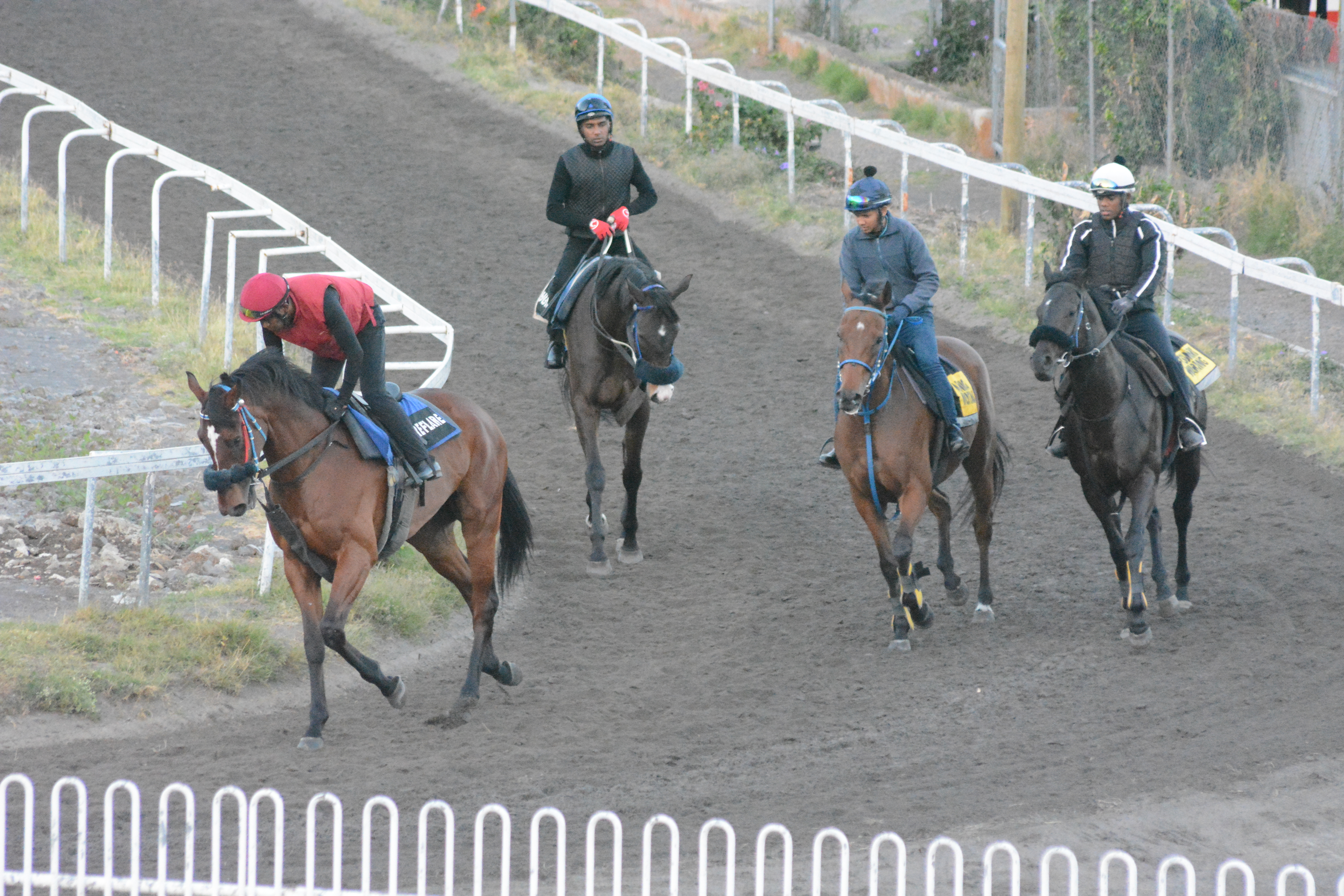 Horse Racing | Racing News | Betting | Mauritius Turf Club