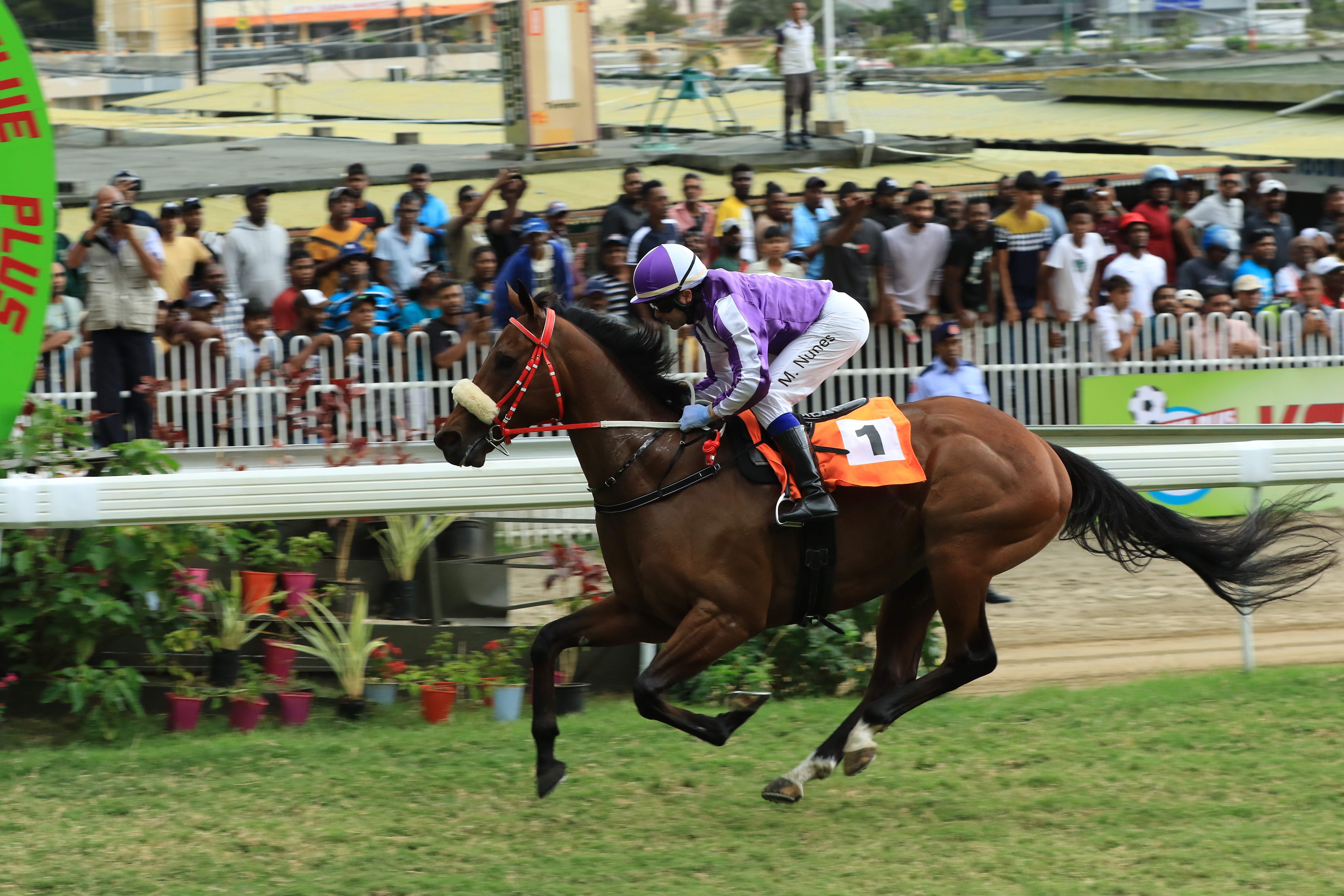Horse Racing | Racing News | Betting | Mauritius Turf Club