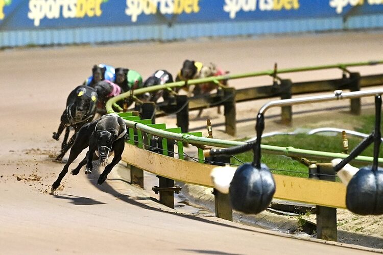 Canya Tornado Blows The Roof Off Sandown | Racing and Sports