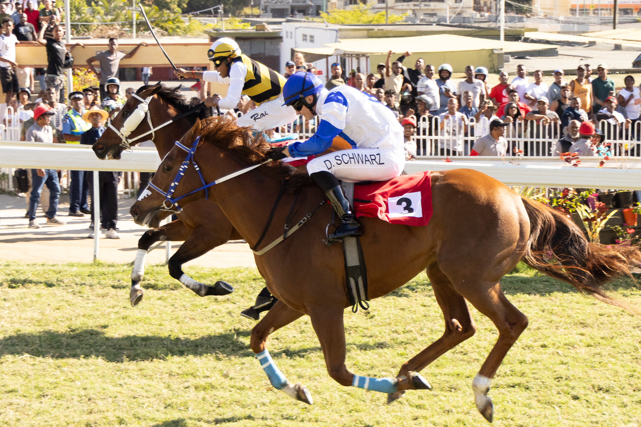 Horse Racing | Racing News | Betting | Mauritius Turf Club