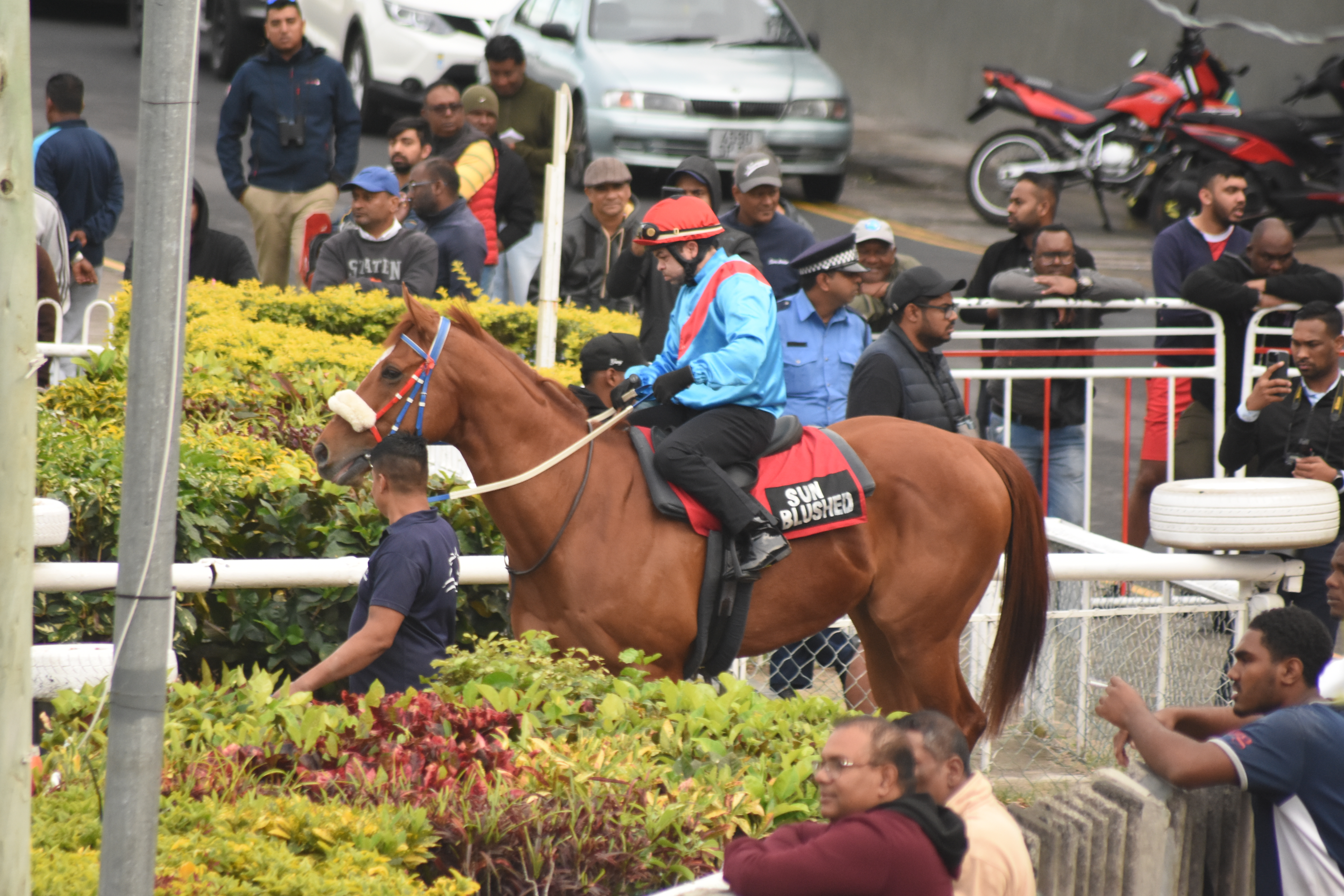 Horse Racing | Racing News | Betting | Mauritius Turf Club